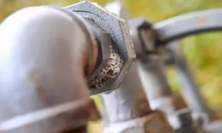 Signs of a Natural Gas Leak in Your Pipeline
